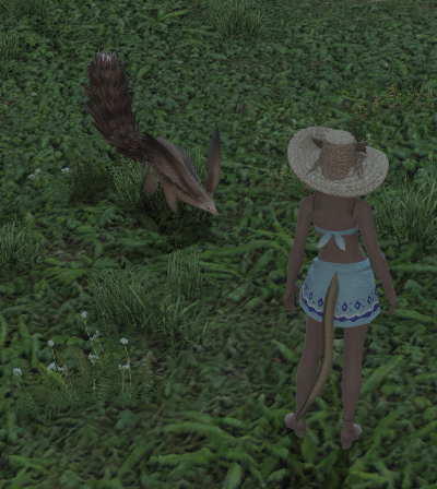 Ground Squirrel (Island Sanctuary) - Final Fantasy XIV Online Wiki ...