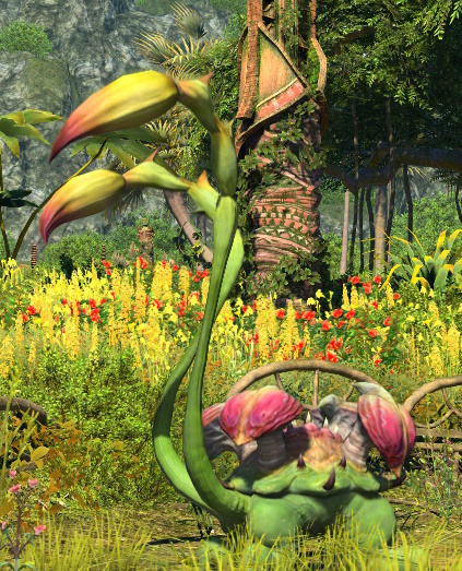 Aloalo Ochu - Final Fantasy XIV Online Wiki - FFXIV / FF14 Online ...