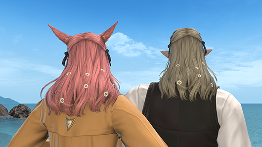 A Half Times Two Hairstyle - Final Fantasy XIV Online Wiki - FFXIV ...