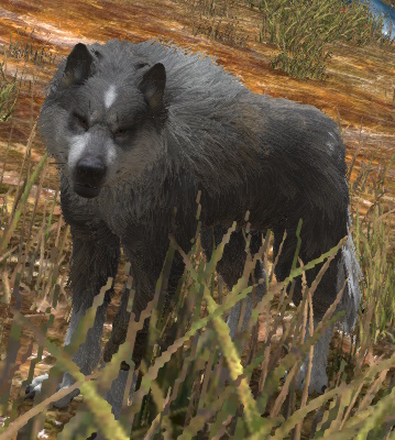 Torgal - Final Fantasy XIV Online Wiki - FFXIV / FF14 Online Community ...