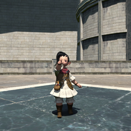 Point - Final Fantasy XIV Online Wiki - FFXIV / FF14 Online Community ...
