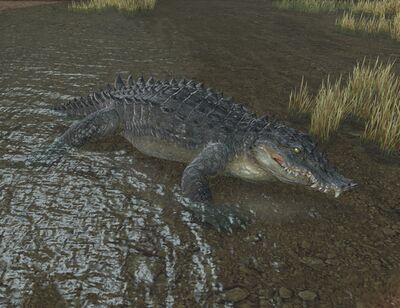 Kumbhira - Final Fantasy XIV Online Wiki - FFXIV / FF14 Online ...