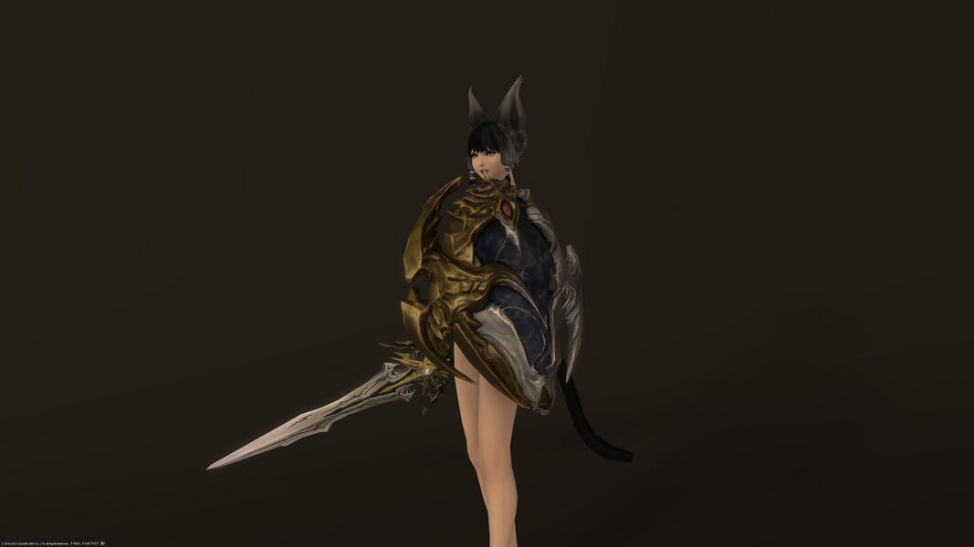 Gallery: Anima Weapons - Paladin - Final Fantasy XIV A Realm Reborn ...