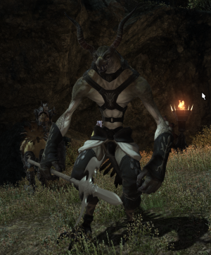 Ixali Straightbeak - Final Fantasy XIV Online Wiki - FFXIV / FF14 ...