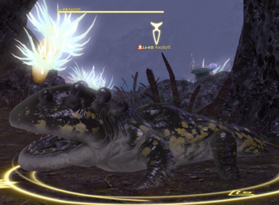 Axolotl - Final Fantasy XIV Online Wiki - FFXIV / FF14 Online Community ...
