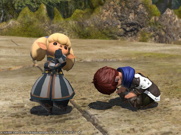 Wind-up Shantotto - Final Fantasy XIV Online Wiki - FFXIV / FF14 Online ...