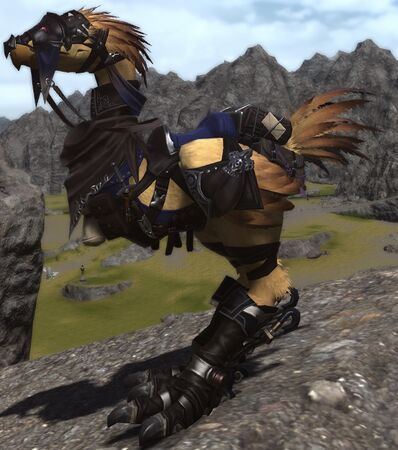 Deepshadow Barding - Final Fantasy XIV Online Wiki - FFXIV / FF14 ...