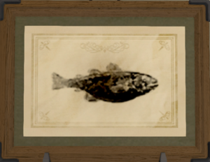 Sabertooth Cod - Final Fantasy XIV Online Wiki - FFXIV / FF14 Online ...